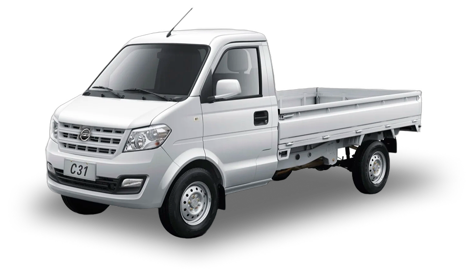 C31 – DFSK – Argentina